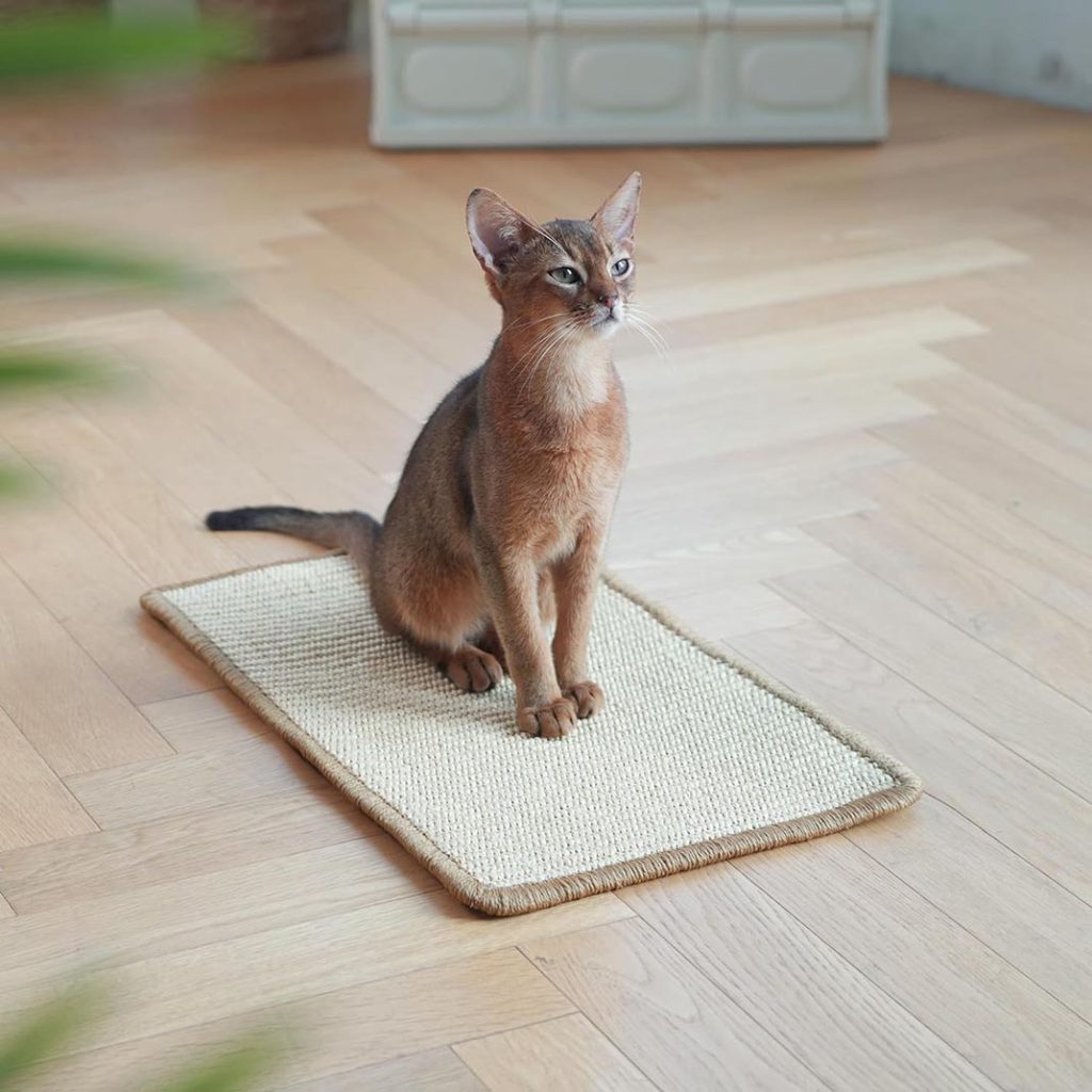 Katzenkratzmöbel für das perfekte Kratzvergnügen: Die besten Sisal ...